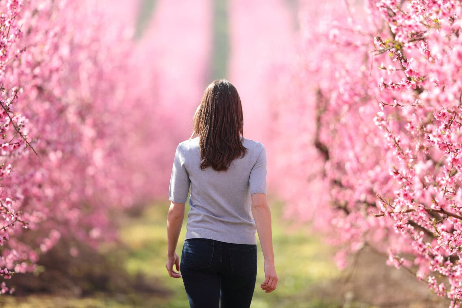 Springtime With Migraine and Headache Disorders | National Headache ...